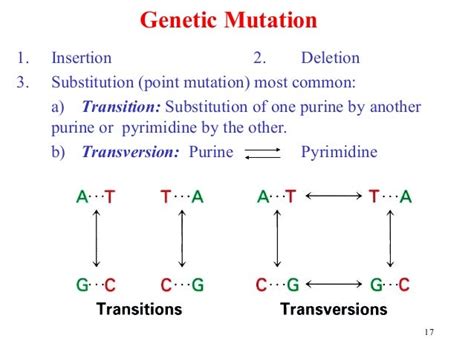 7 Dental Genetics