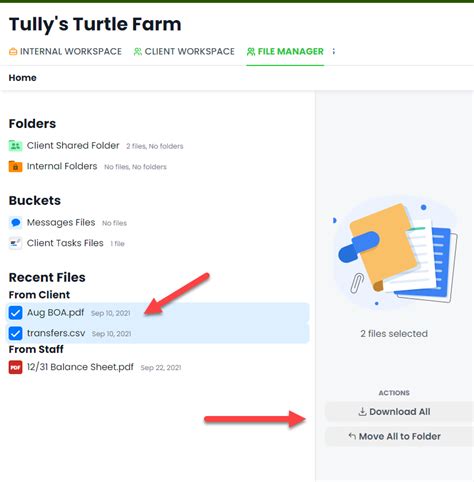 How To Download Or Move Multiple Files At One Time Client Hub