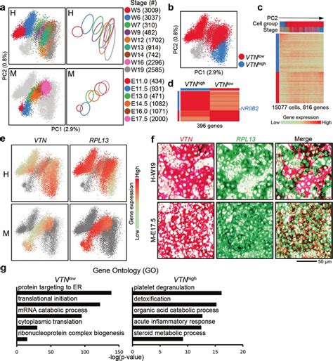 Heterogeneity Of Quiescent Human Hepatocytes A Left Pca Plots Of