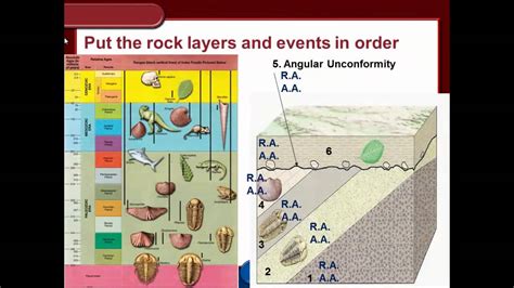 Relative Dating Using Index Fossils Telegraph