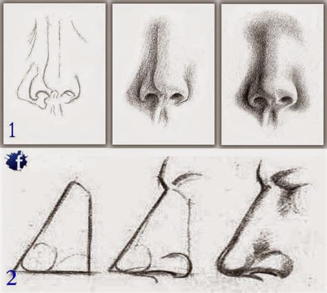 How To Draw A Realistic Nose At Drawing Tutorials