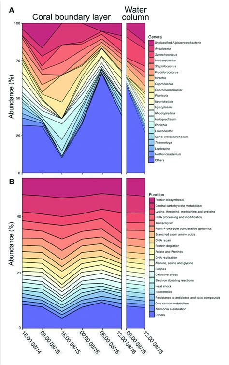 Taxonomic And Functional Profiles Abundance Of A Dominant Genera