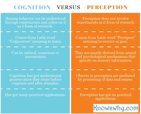 Difference Between Cognition And Perception