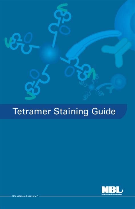 New Alleles Added To The Mhc Class I Tetramer Range Caltag Medsystems