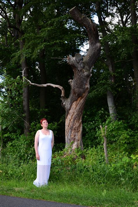 Dame Und Der Alte Baum Foto And Bild Jahreszeiten Sommer Nature