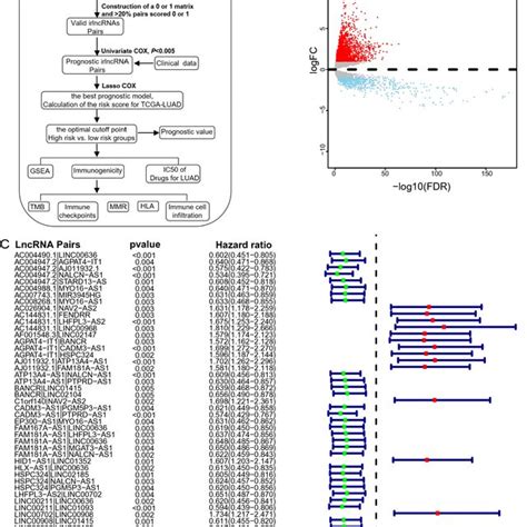 Differentially Expressed Immune Related Lncrnas And Significant