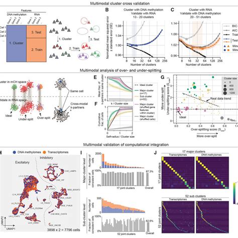 Integrative Analysis Of Rna And Mc Features Cross Validates Neuronal