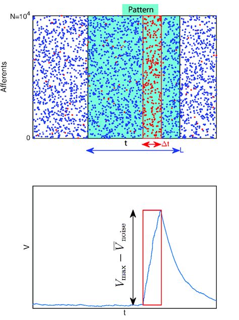 1 Detecting A Spike Pattern With A Lif Neuron Top Raster Plot Of N