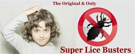 Super Lice Busters Busters Clean Air Helping Others