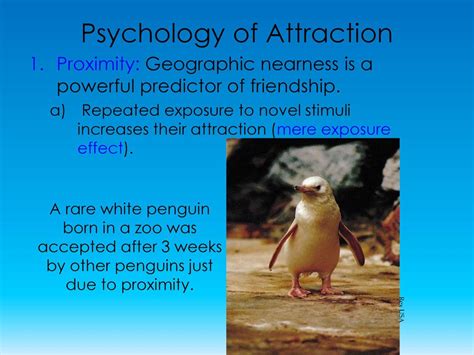 Unit 14 Social Psychology Ppt Download