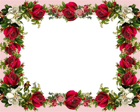 Rose Flower Frame Hd Wallpaper And Free Download Wallpaper We Heart