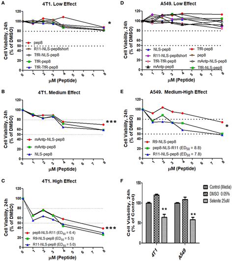 frontiers nkp44 derived peptide binds proliferating cell nuclear