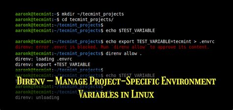 understand linux shell and basic shell scripting language