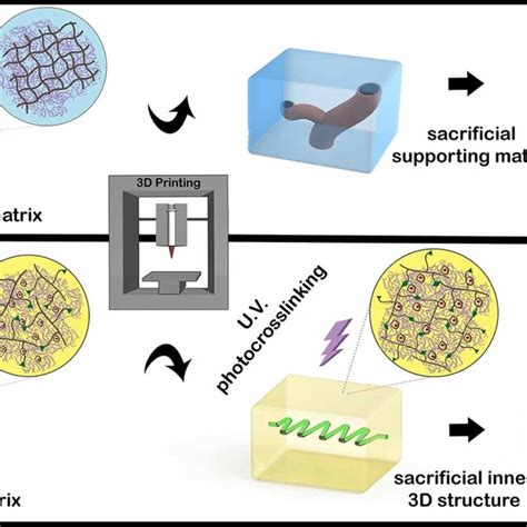 Schematics Of The Proposed Embedded Bio Printing Approaches For