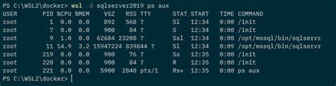 converting a sql server docker image to a wsl2 distribution dba from