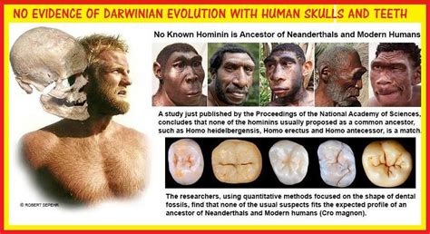 Proof That The Human Species Has Been Genetically Engineered By