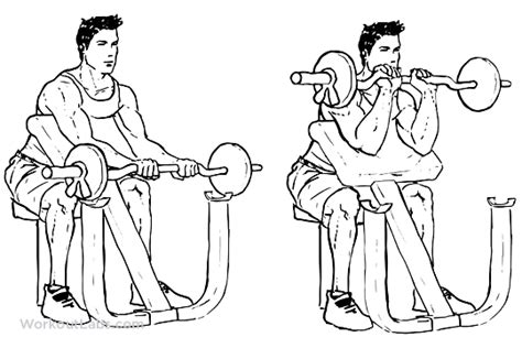 Reverse Grip Ez Curl Bar Curl Illustrated Exercise Guide Workoutlabs