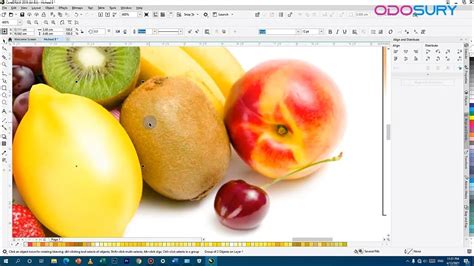Coreldraw дээр Mesh Fill Blend ашиглан зураг зурах Youtube