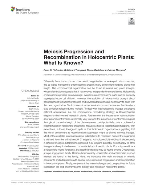 Pdf Meiosis Progression And Recombination In Holocentric Plants What