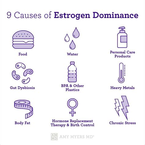 Main Causes Of Estrogen Imbalance Visual Ly Hot Sex Picture