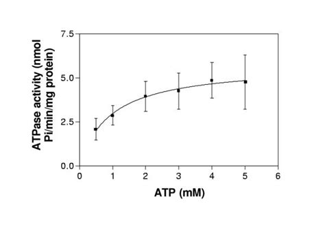 Dependence Of Atpase Activity On Atp Concentration Atpase Activity Of