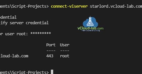 powercli gather complete virtual distributed switch vds information