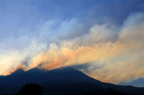 Kebakaran Gunung Lawu Antara Foto