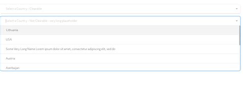 angular ng dropdown panel in ng select how to keep its custom