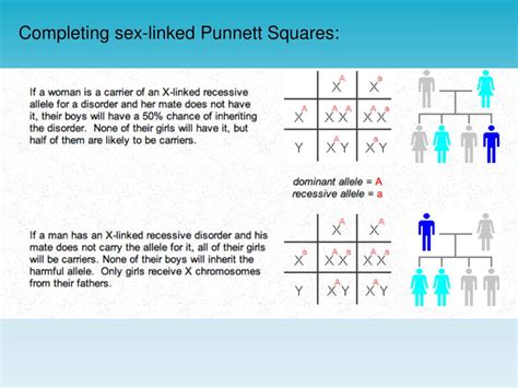 Ppt Chapter 14 Powerpoint Presentation Free Download Id 3088977