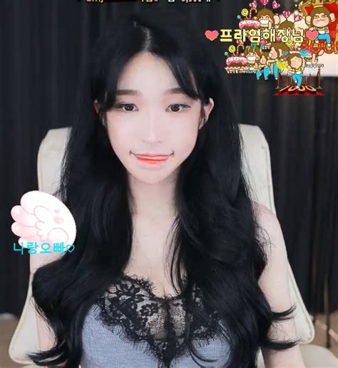 ㅎㅂ 팬더티비 인기 Bj Mlbpark