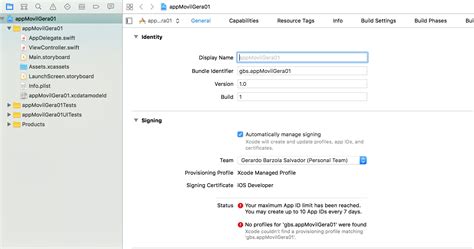 ios what appear error in connection between firebase and xcode