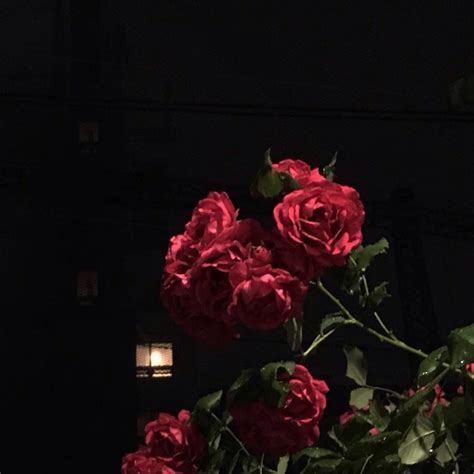 🥀 — Adidxsslut 👑 🥀 Night Aesthetic Red Aesthetic Grunge Aesthetic