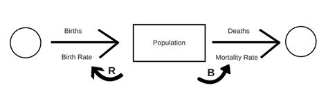 The Basic Feedback Loops That Govern Population Dynamics Author
