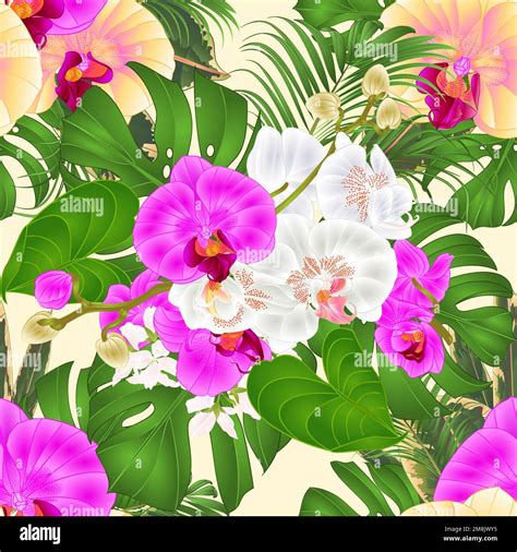 Seamless Texture Bouquet With Tropical Flowers Floral Arrangement With
