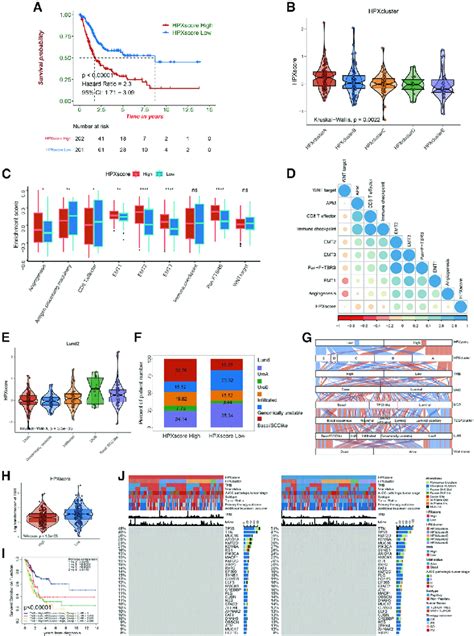 Transcriptome Traits And Biological Characteristics Of Hypoxia