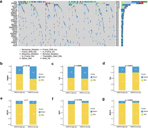The Divergences Of Significantly Mutated Genes Smgs In Ccrcc Base On