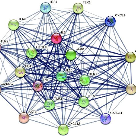 Hub Differentially Expressed Gene Interaction Network Download