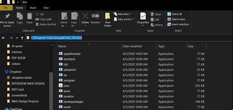 install and setup path java androwep