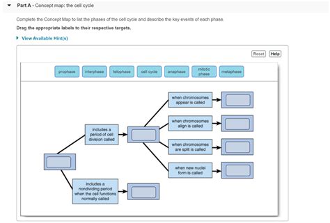 Drag The Terms To Their Correct Locations In This Concept Map About