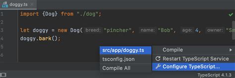compiling typescript into javascript webstorm documentation