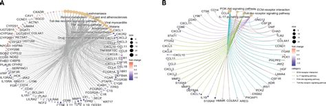 Frontiers Identifying Hub Genes In Response To Ustekinumab And The