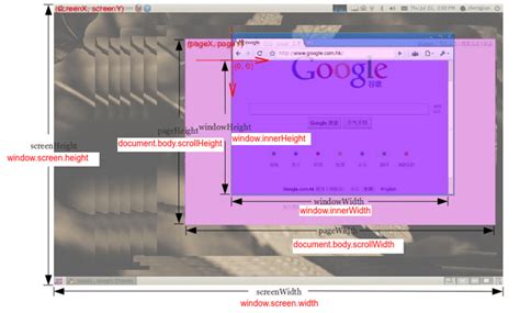 get the size of the screen browser window javascript jquery