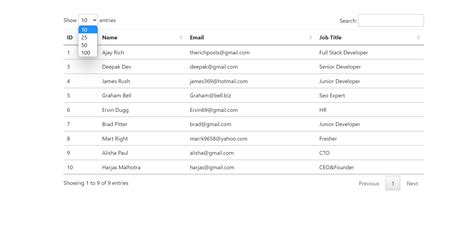 nuxt js datatable with dynamic data working example therichpost