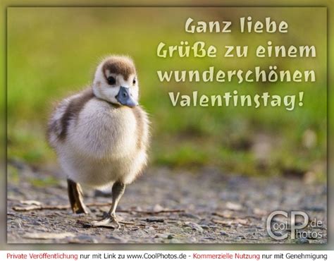 Coolphotos De Ganz Liebe Grüße Zu Einem Wunderschönen Valentinstag