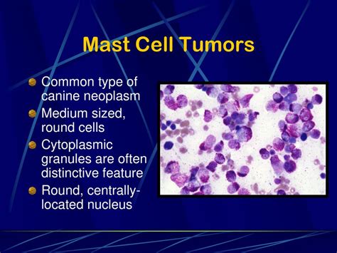 Introduction Test Selection Histopathology Vs Cytology Ppt Download