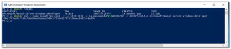 sql server with a docker container on windows server 2016
