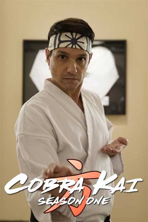 Cobra Kai 2018 Season 1 Sonofdad The Poster Database Tpdb