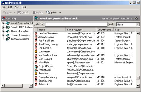 novell documentation groupwise 6 5 understanding address books