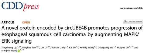 中山大学研究者们揭示了环状rnacircube4b编码的一种新蛋白促进食管鳞癌的进展 生物科技 健康一线资讯